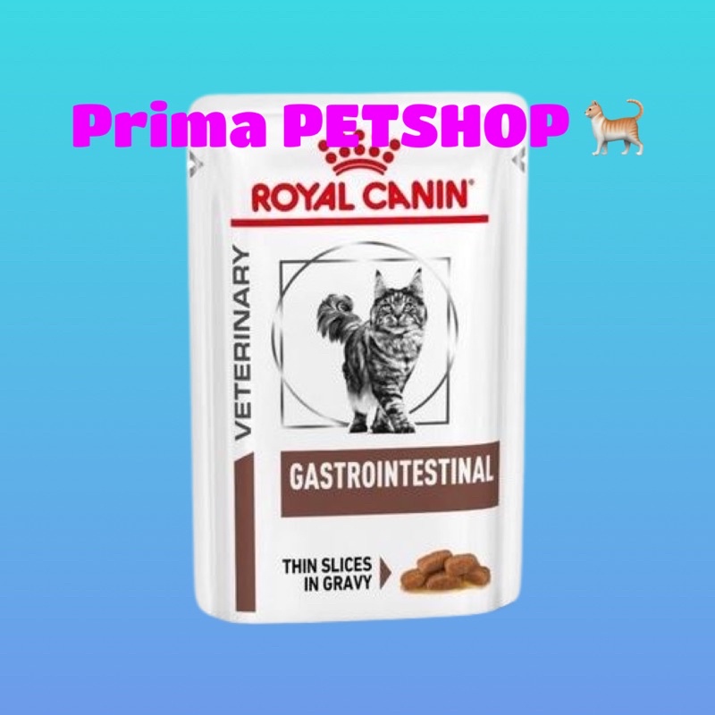 Jual Royal Canin Gastro Intestinal Cat pouch sachet makanan kucing ...