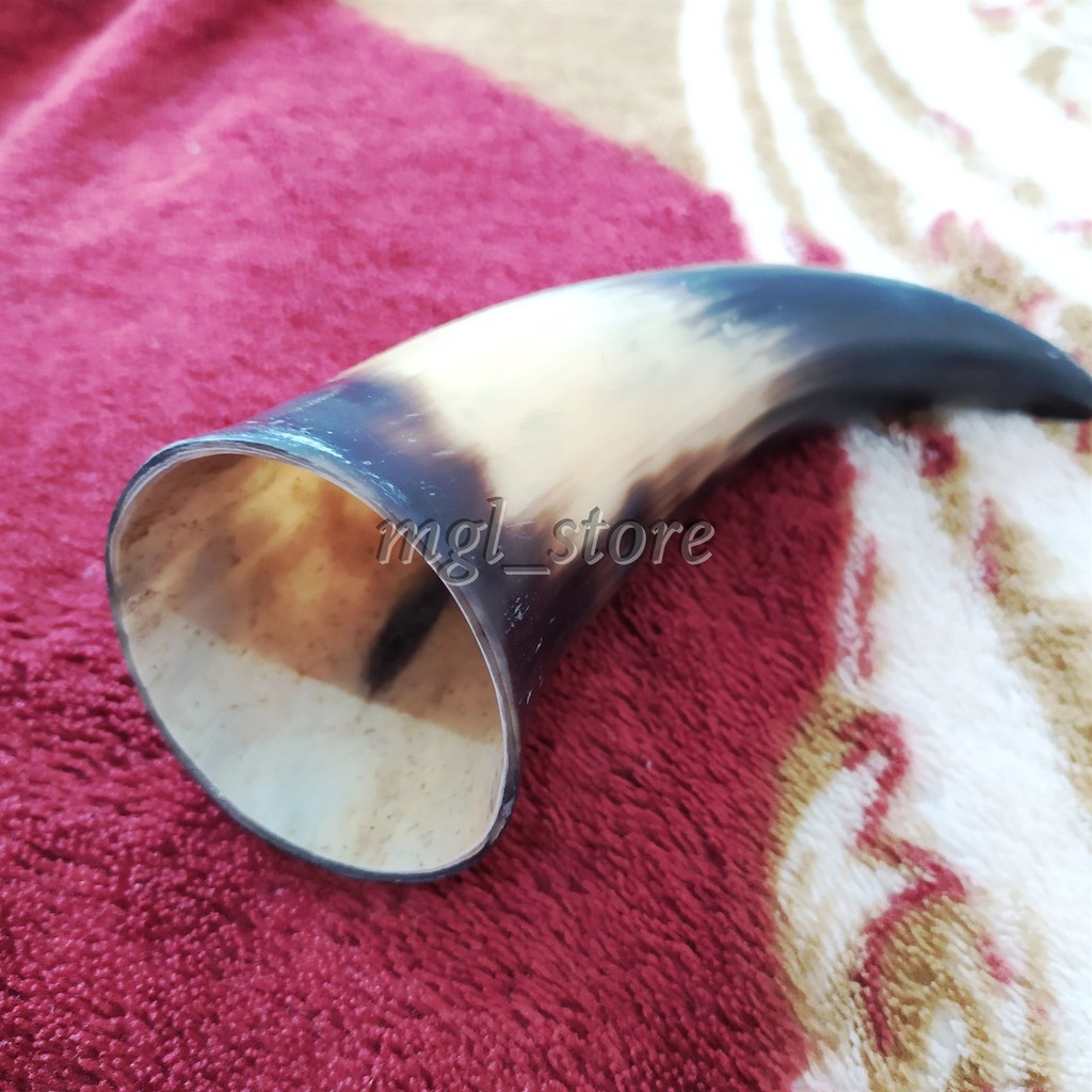 Jual Kop bekam tradisional tanduk bule /kop bekam api tanduk bule asli ...