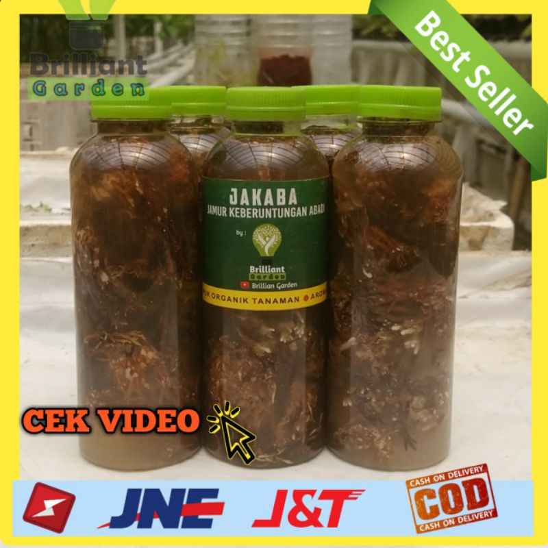 Jual JAKABA Biang Jamur Keberuntungan abadi – Pupuk Organik Cair – isi ...
