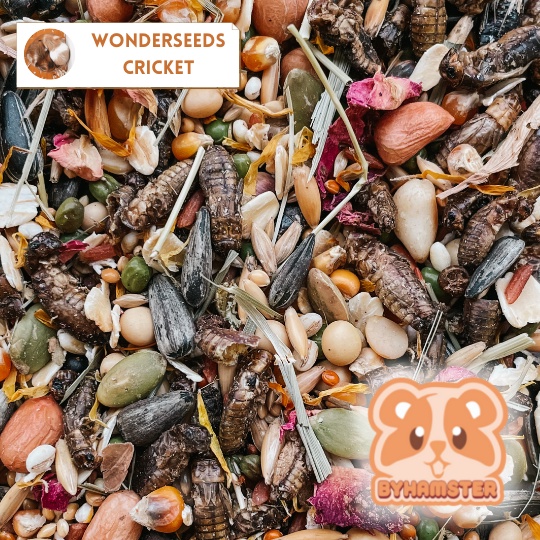 Jual MIJIU | Wonderseeds Cricket Seedmix byHamster | Seedmix Hamster ... Jual MIJIU | Wonderseeds Cricket Seedmix byHamster | Seedmix Hamster ...