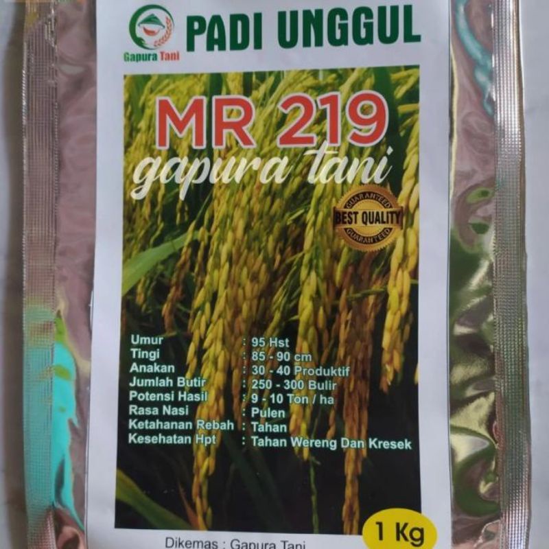 Jual Benih Unggul Padi GALUR MR219 kemasan 1kg | Shopee Indonesia