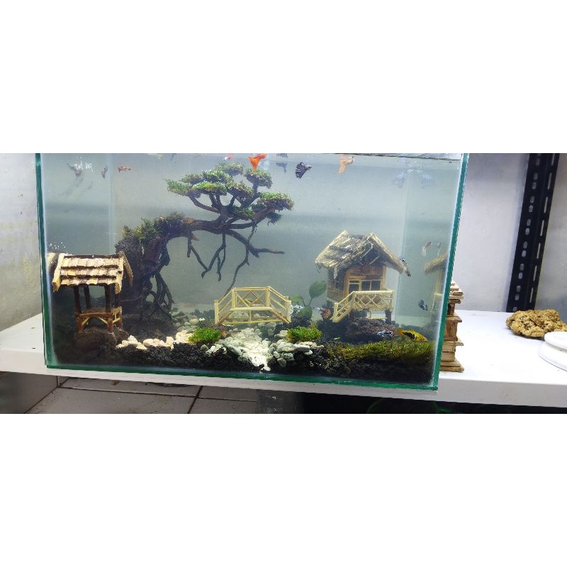 Jual Satu set aquarium lengkap | Shopee Indonesia