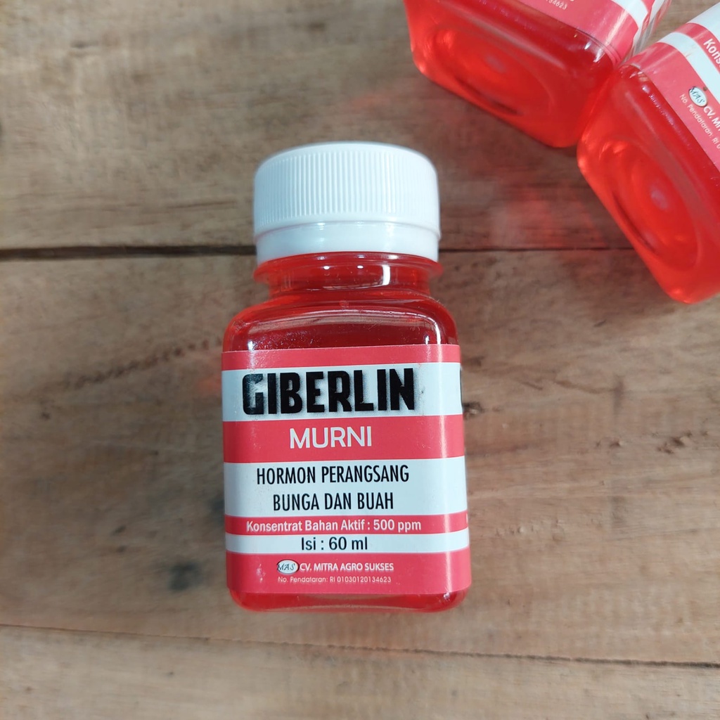 Jual Paket Pupuk Hormon ZPT Pemacu Pertumbuhan & Perkembangan Tanaman ...