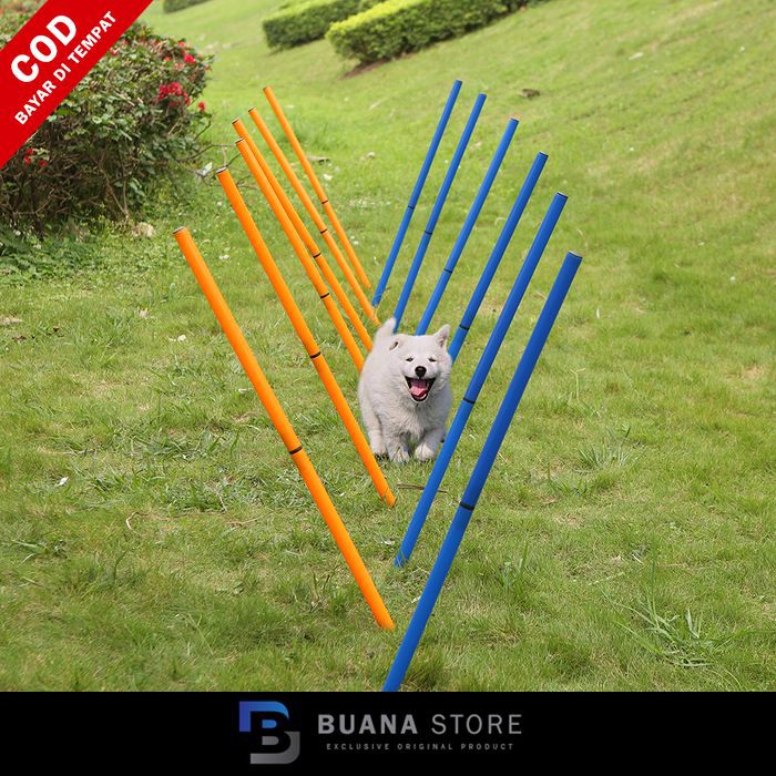 Jual Tongkat Gunung Stick Base Tiang Penanda Tanam Elastis Agility Pole ...