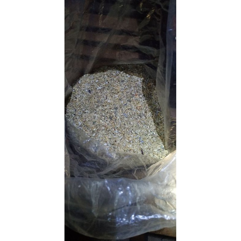 Jual IKAN-RUCAH | Shopee Indonesia