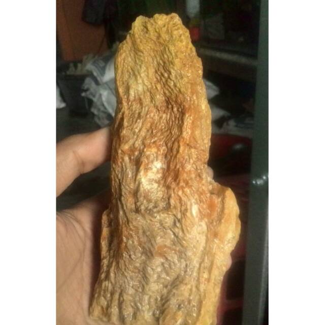 Jual Batu fosil | Shopee Indonesia