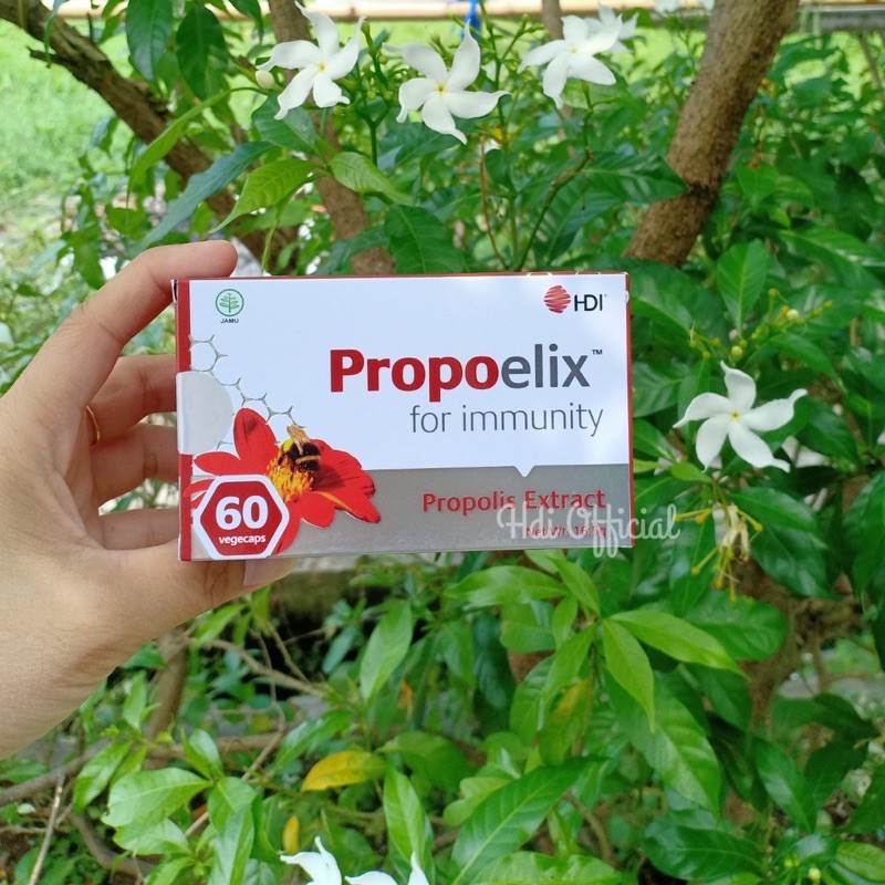 Jual Propoelix HDI isi 30 kapsul | Shopee Indonesia