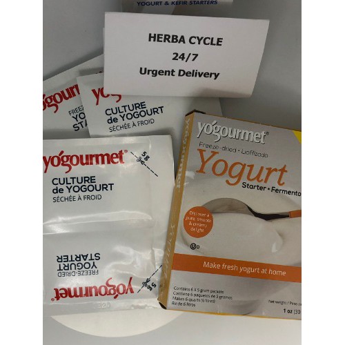 Jual Bibit Yogurt Starter Yogourmet 1 saset @ 5 gr Ori Kanada Buat ...