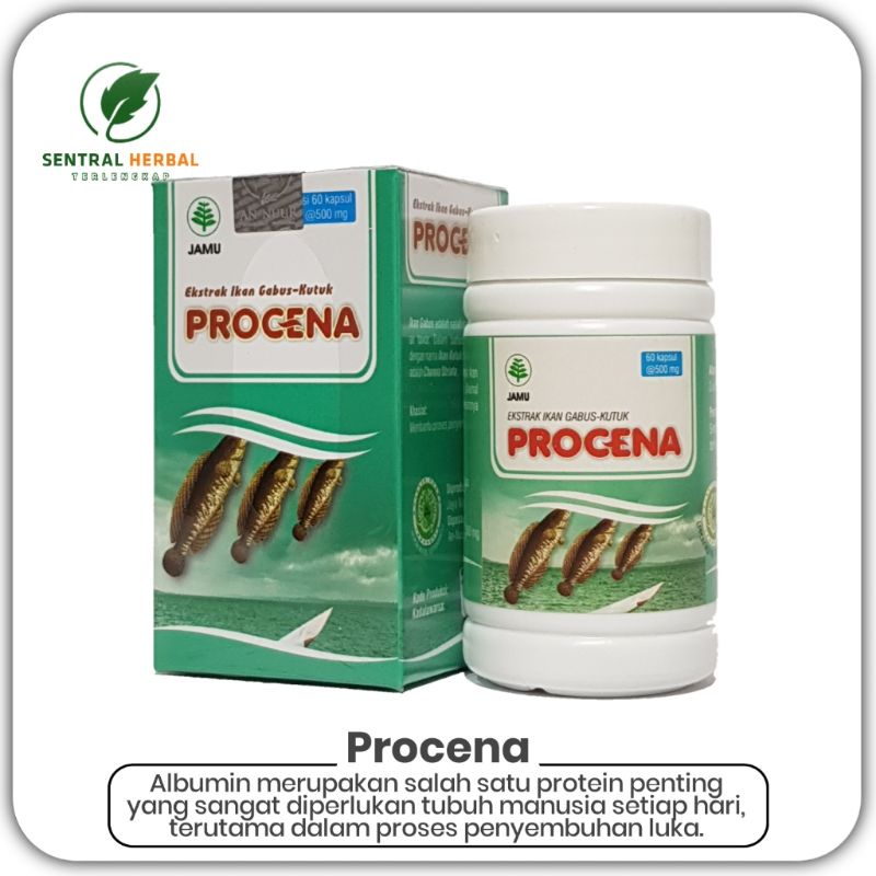 Jual Procena Extrak Ikan Gabus Atau Kutuk Albuminnya Mempercepat ...