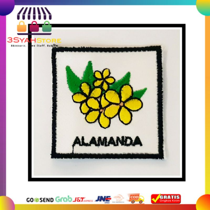 Jual Badge + Bendera Regu Pramuka Penggalang Putri [set] | Shopee Indonesia