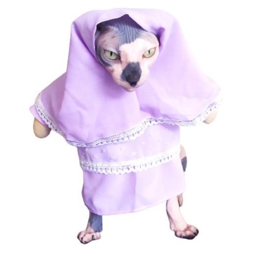 Jual Baju Kucing Kostum Ukhti / Gamis | Shopee Indonesia