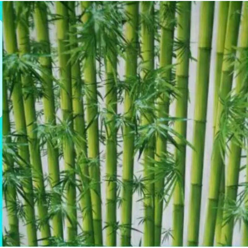 Jual fiber pagar PP bambu tebal 0.75mm | Shopee Indonesia