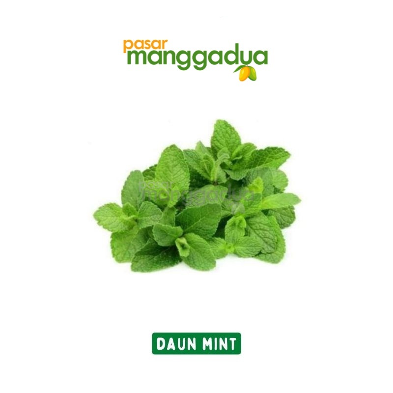 Jual Daun Mint 500 Gram / Produk Musiman | Shopee Indonesia