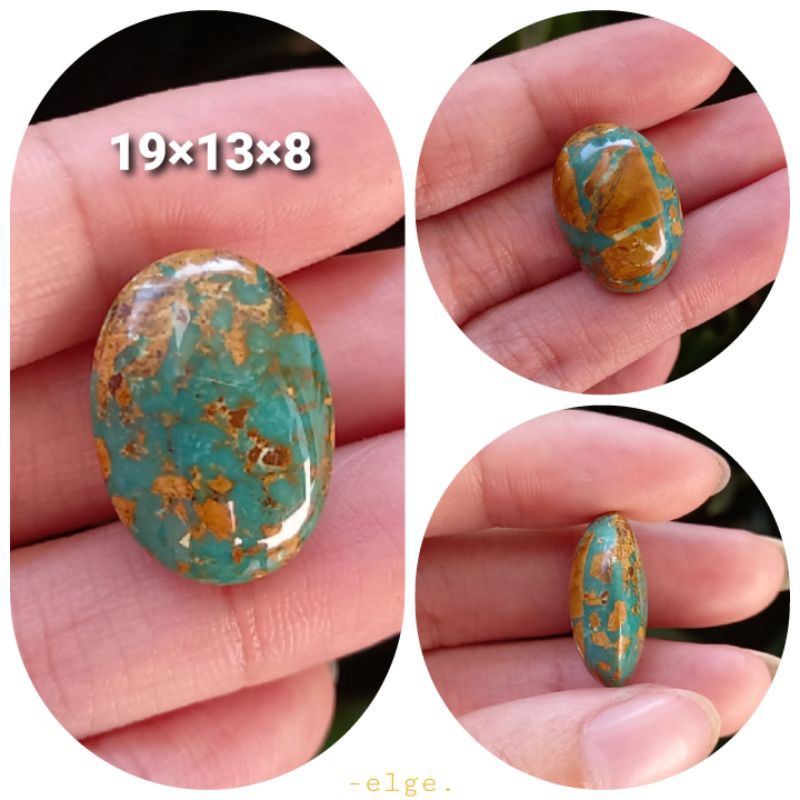 Jual NATURAL PIRUS PERSIA | Shopee Indonesia