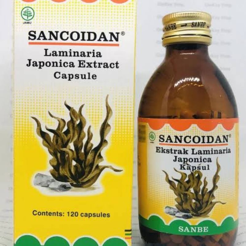 Jual SANCOIDAN KAPSUL BOX / STRIP / BLISTER / BOTOL ECER ORIGINAL SANBE ...