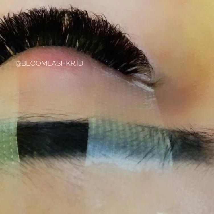 Jual 16 baris BLOOM LASH RUSSIAN EASY EASY FANNING SANGAT LEMBUT MEGA VOLUME ☟ | Shopee Indonesia