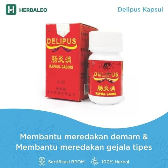 Jual Kapsul Cacing Delipus Chang Yen Siao (20 Kapsul - Obat Tipes ...