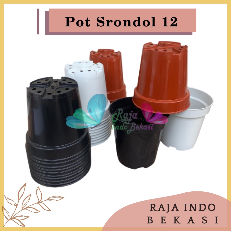 Jual LUSINAN 12PCS Pot Tinggi Srondol 12 Putih Hitam Merah ...