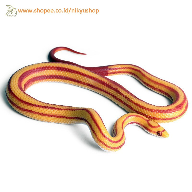 Jual [Nikyushop] Mainan Edukasi Pajangan Koleksi Hewan Binatang Ular ...