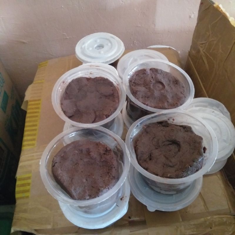 Jual Terasi udang khas palembang, sungsang//terasi murah//calok udang ...