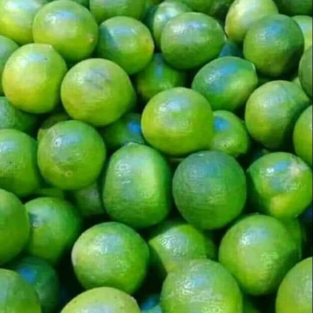 Jual Jeruk nipis 1 kg | Shopee Indonesia