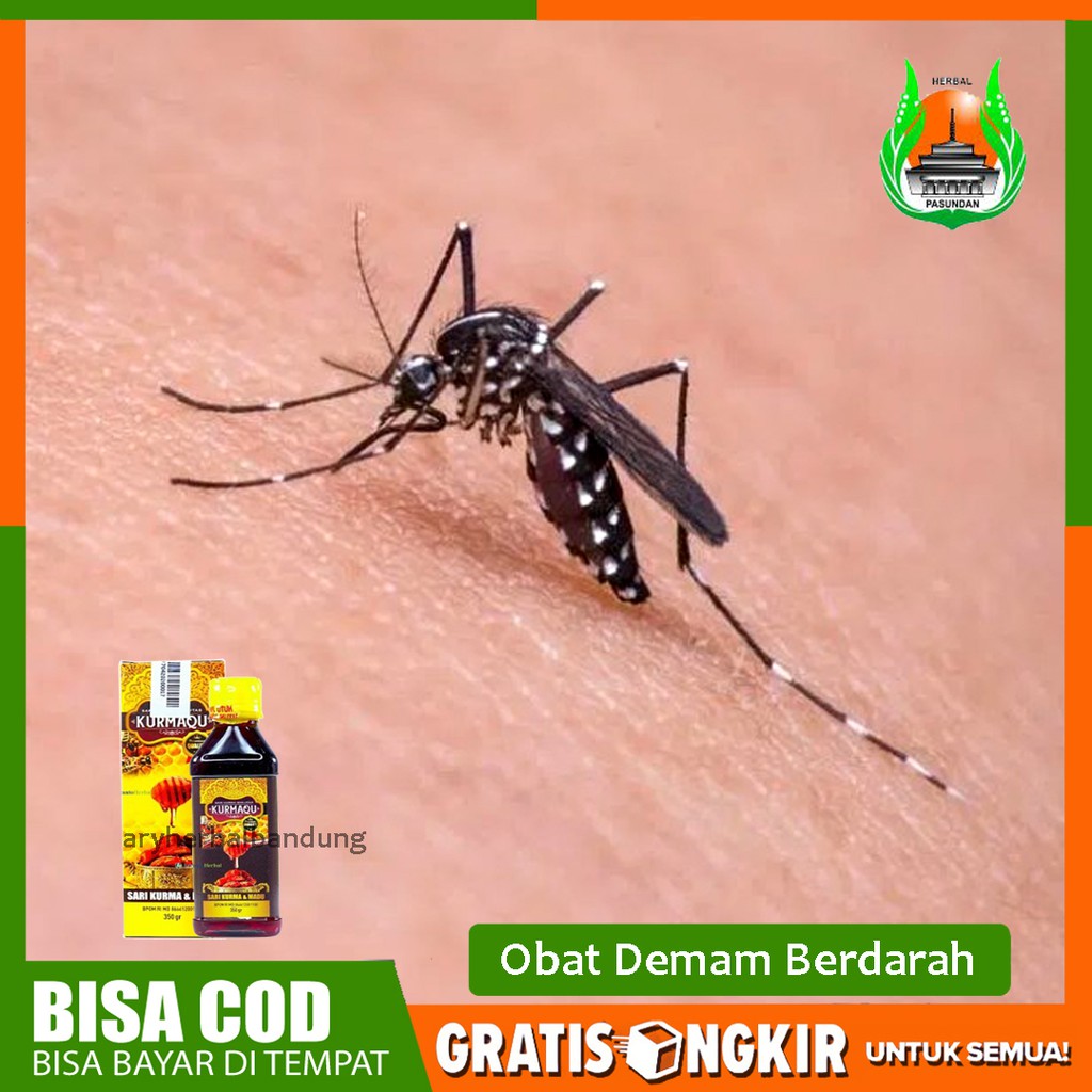 Jual Obat Demam Berdarah - DBD - Demam Dengue Anak & Dewasa Herbal Sari ...