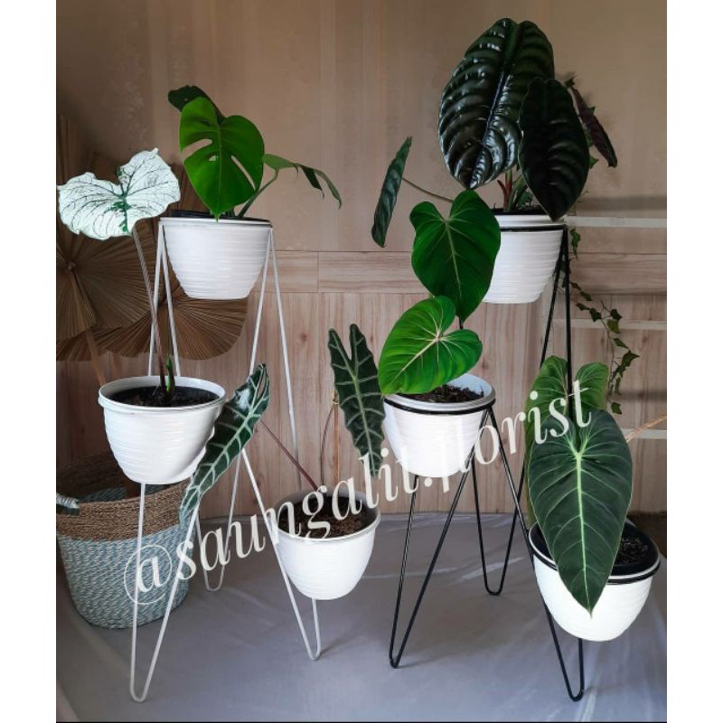 Jual Standing planters standing pot Paket 3in1 besi 8mm/plus pot ...