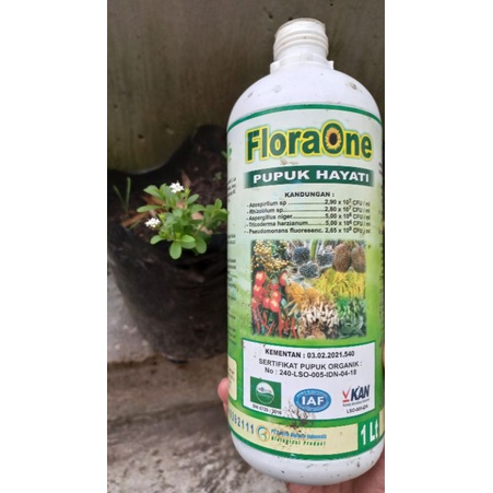 Jual FLORA ONE AGENSI HAYATI TRICHODERMA RHIZOBIUM AZOTOBACTER FULL ...