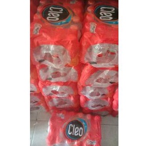Jual Cleo Air Mineral Botol Mini 220 ml × 24 botol | Shopee Indonesia