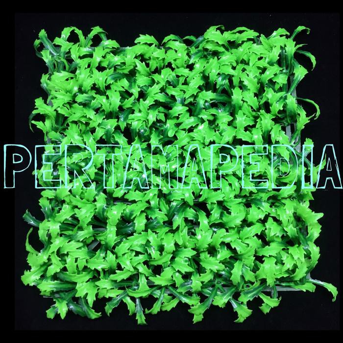 Jual Rumput Dasar/Rumput Hiasan/Rumput Sintetis/Rumput Plastik/Rumput ...