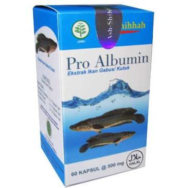 Jual Pro Albumin Kapsul Ekstrak Ikan Gabus / Kutuk Obat Luka, Patah Tulang | Shopee Indonesia