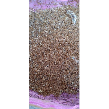 Jual ulet kandang 1 kg | Shopee Indonesia