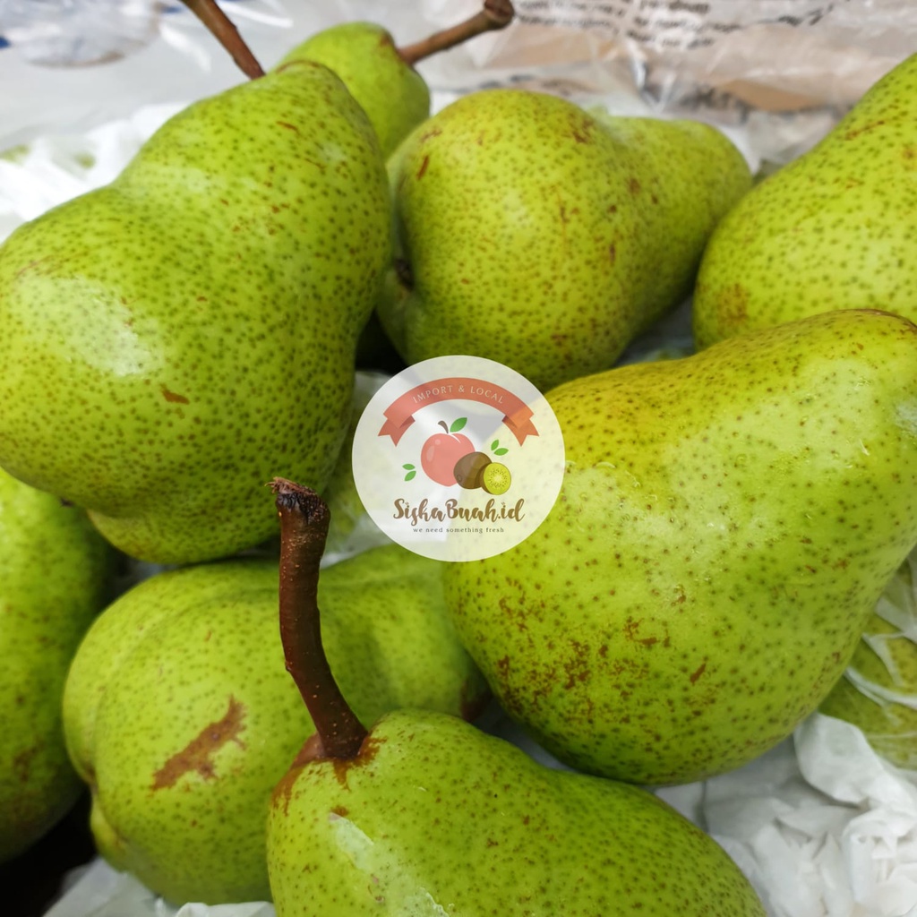 Jual PEAR PACKHAM | PIR HIJAU | PEAR JAMBU - IMPORT AFRICA | Shopee ...