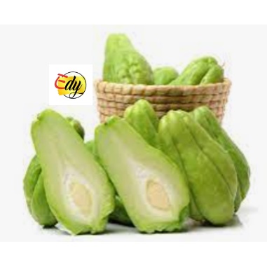 Jual labu siam per 1 Kg (labu besar) | Shopee Indonesia