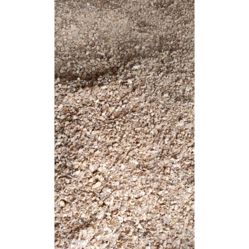 Jual Jenjet Jagung | Shopee Indonesia