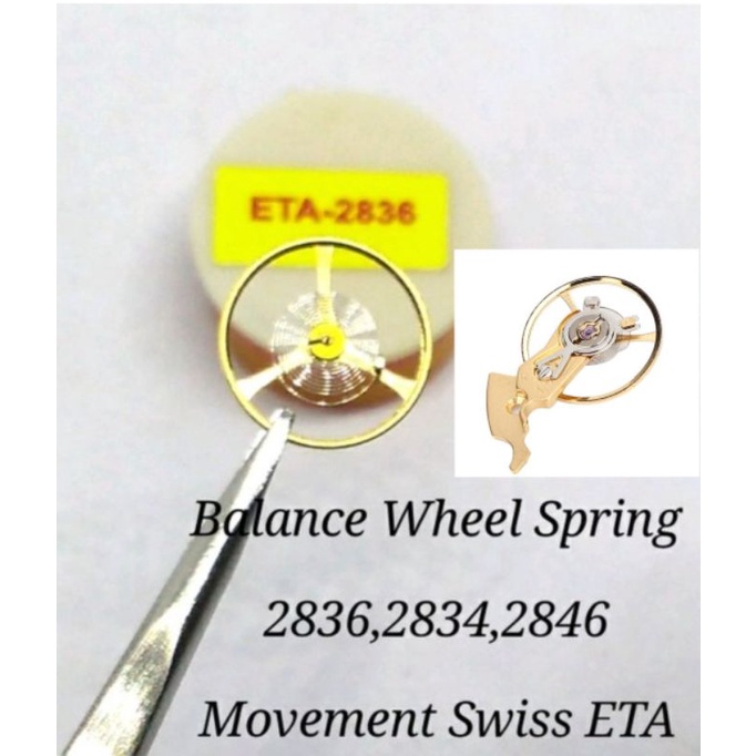 Jual Balance Wheel Spring 2836 Per Rambut Jam Tangan mesin 2836 2834 ...