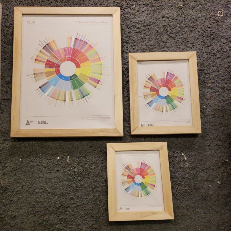 Jual Roda Rasa Coffee Tasters Flavor Wheel SCA (Besar 44,5x34,5cm ...