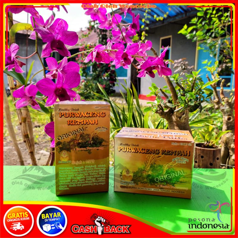 Jual PURWACENG DIENG PURBA ORIGINAL100% / BUBUK MINUMAN HERBAL KHAS DIENG WONOSOBO | Shopee ...
