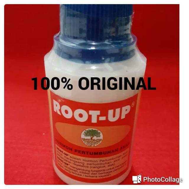 Jual ZPT/obat cangkok dan stek/Root up | Shopee Indonesia