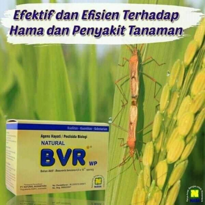 Jual BVR NASA / PENGENDALI HAYATI | Shopee Indonesia