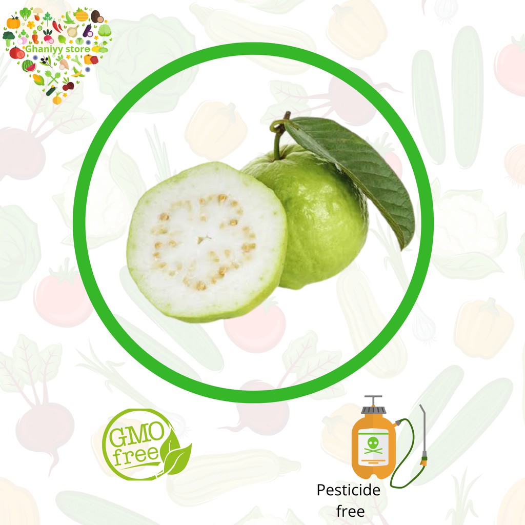 Jual jambu crystal sunpride putih 1 kg | Shopee Indonesia