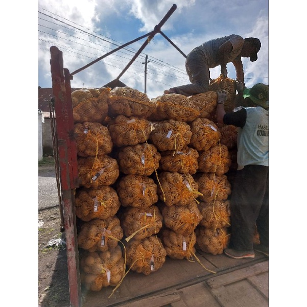 Jual Kentang Super Dieng 15.000 1kg | Shopee Indonesia