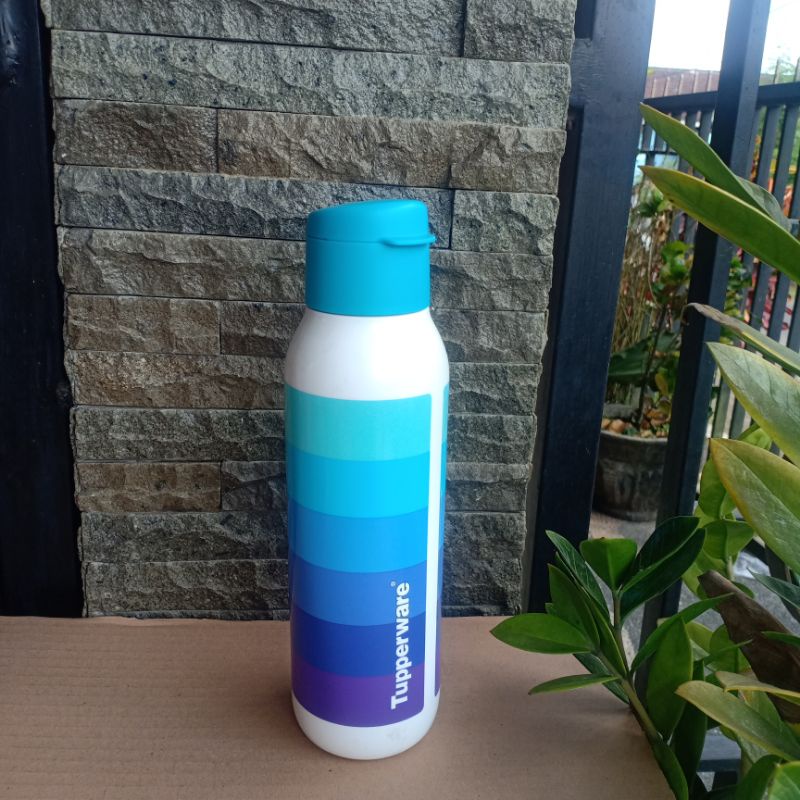 Jual botol Tupperware TERLARIS (FANCY 750ML) | Shopee Indonesia