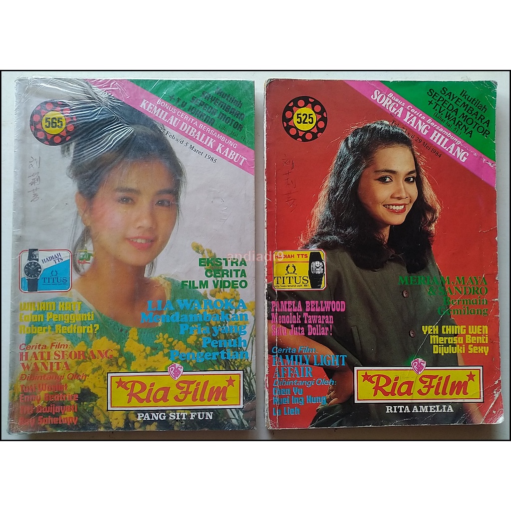 Jual MAJALAH RIA FILM 525 RITA AMELIA DAN 565 PANG SIT FUN | Shopee ...