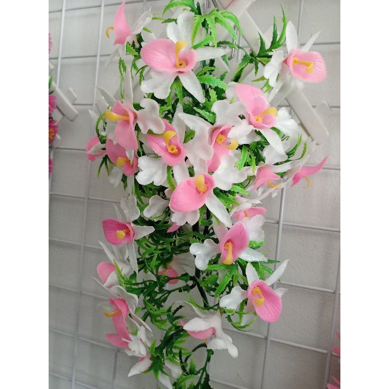 Jual Bunga Pagar | Shopee Indonesia