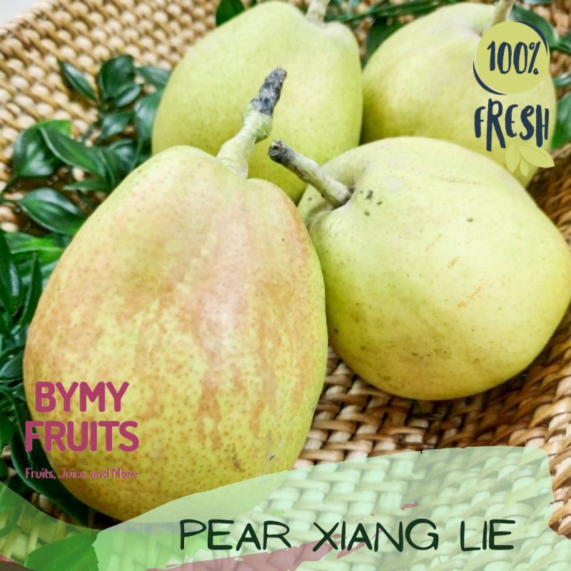 Jual PEAR XIANG LIE PER KG | Shopee Indonesia