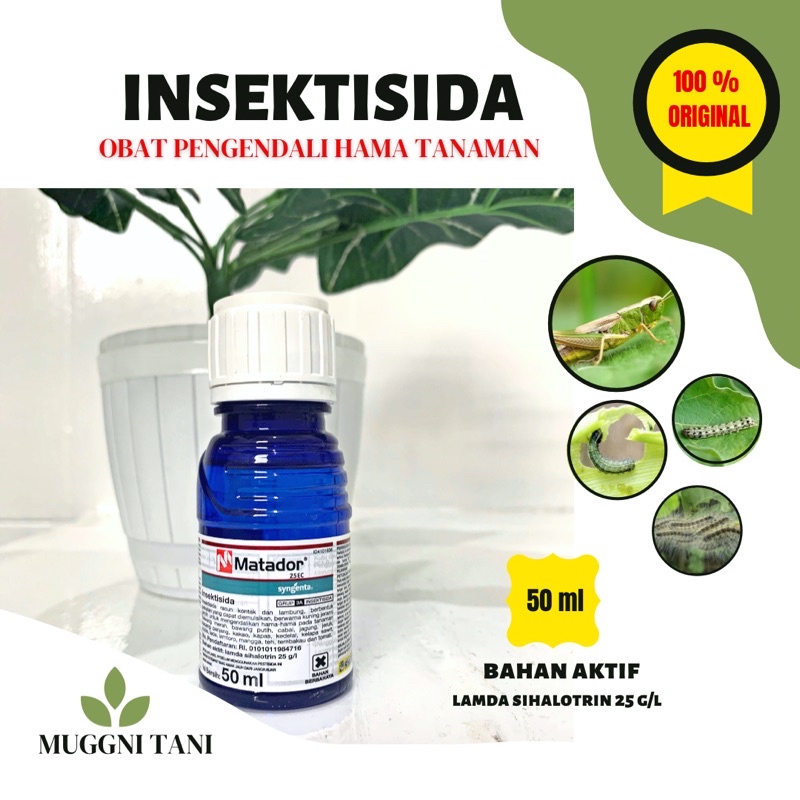 Jual MATADOR 25 EC 50ml - INSEKTISIDA OBAT PEMBASMI HAMA TANAMAN ULAT ...