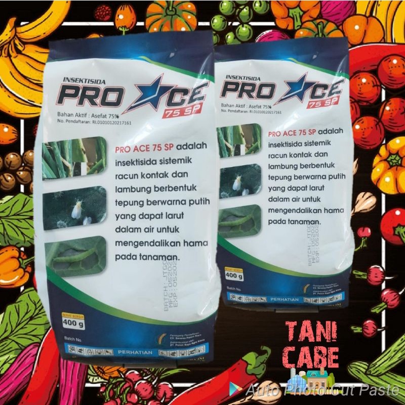 Jual BM PROMAX/ PRO ACE 75 SP SPESIAL RACUN ULAT SISTEMIK-400 GRAM | Shopee Indonesia