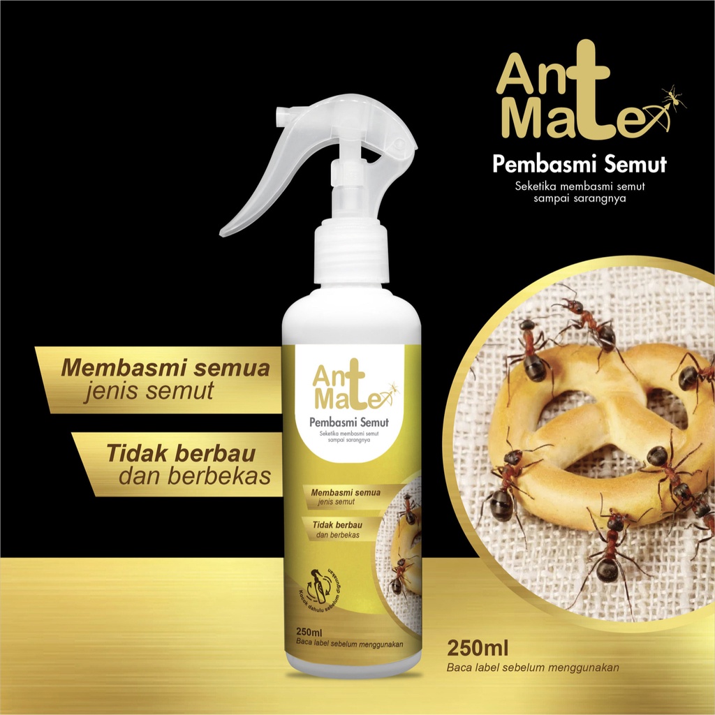 Jual AntMate - Pembasmi Semut Sampai Ke Sarang - Langsung Spray - Tanpa ...