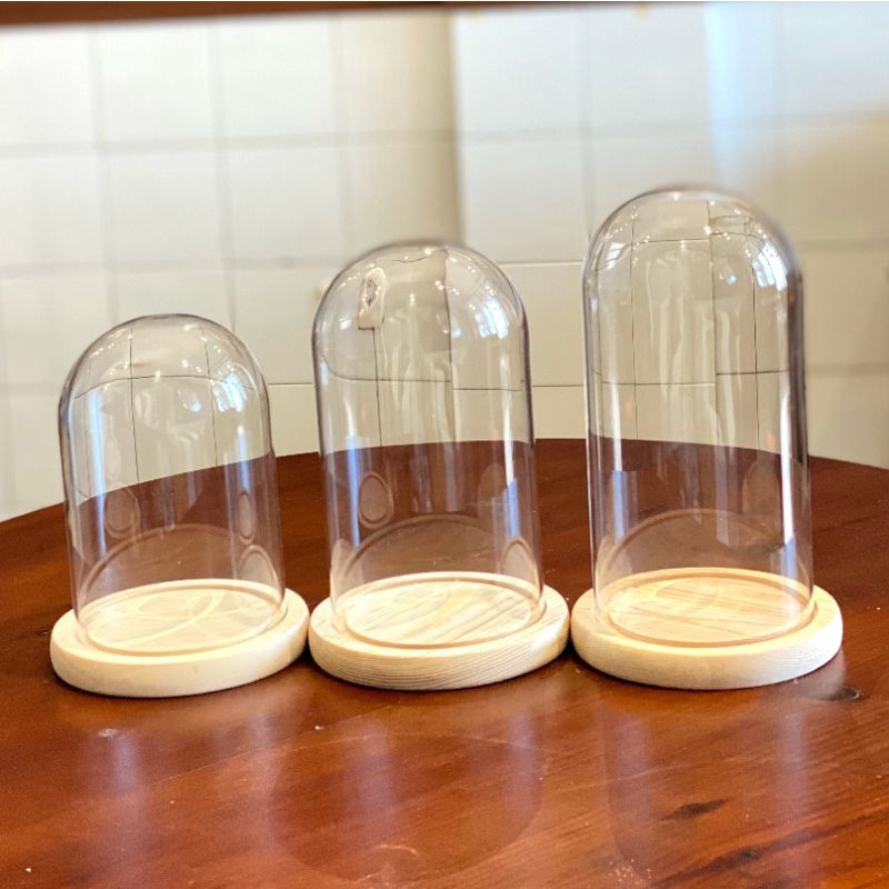 Jual DOMU LED Lonjong / Glass Dome / Flower Dome Import / Kubah Kaca ...